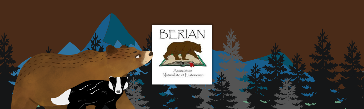 (Re)découvrez l’Ours brun et le Blaireau avec BERIAN ! – Le Lavelinois